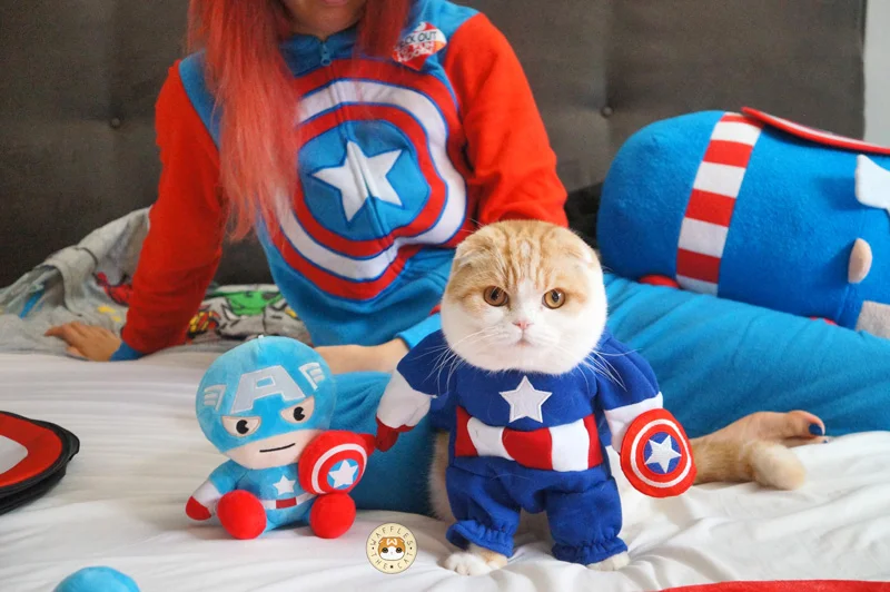 Waffles the Cat in Avengers Costumes — Waffles the Cat