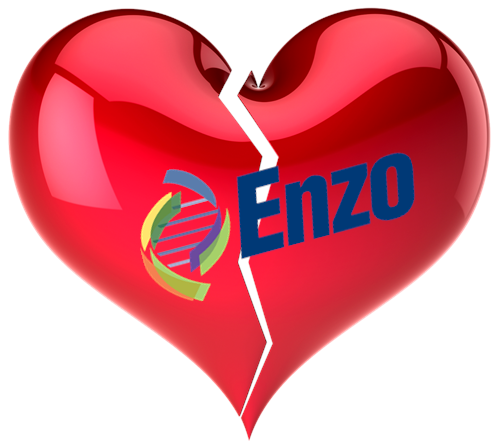 AM I NEXT? NO LOVE AT ENZO BIOCHEM — AM I NEXT?