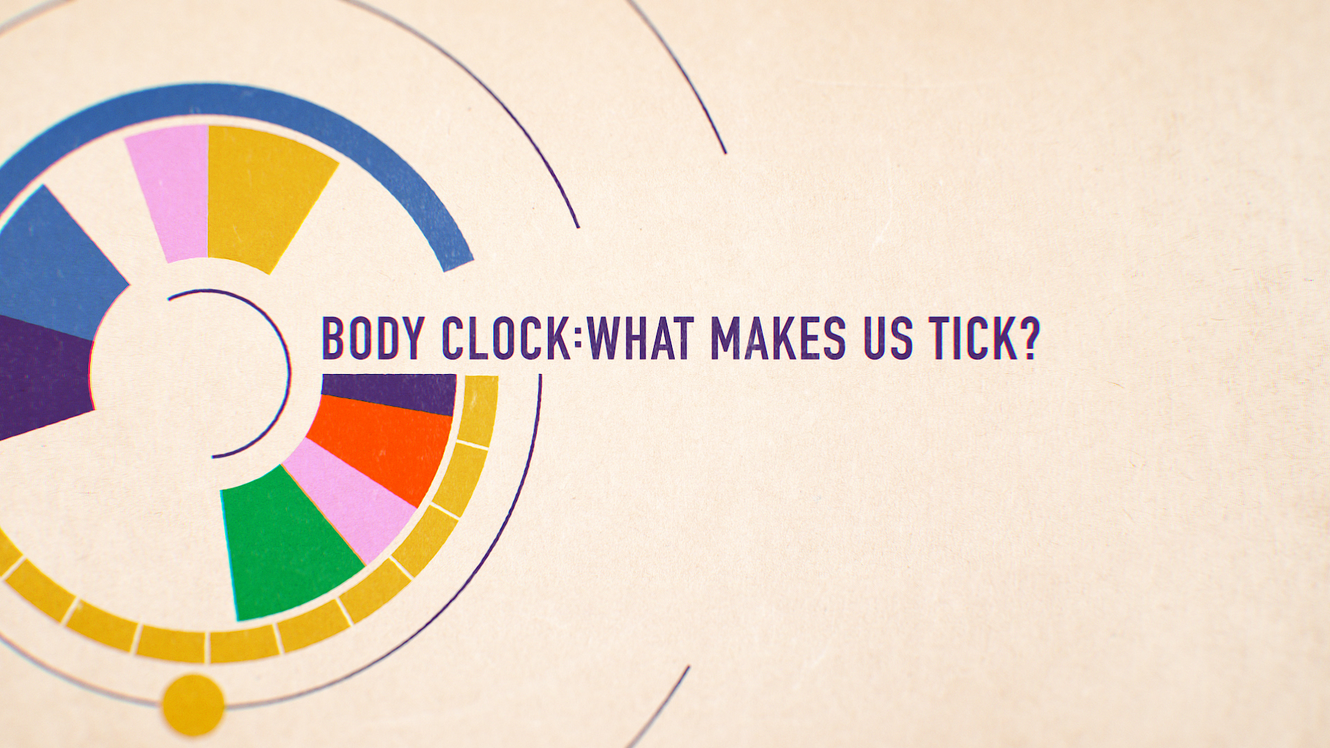 Body Clock What Makes Us Tick — Outline Artists