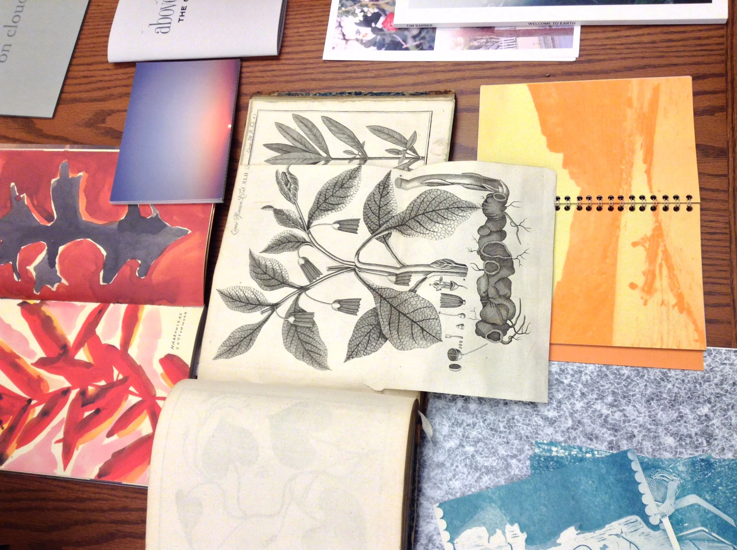 Research — Beth Howe
