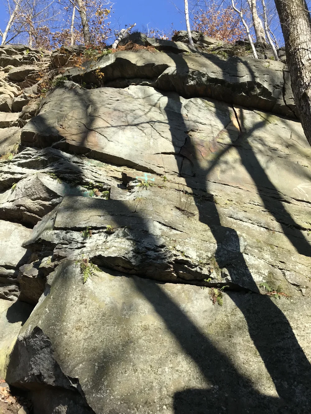 Logtown — Ohio Climbers Coalition