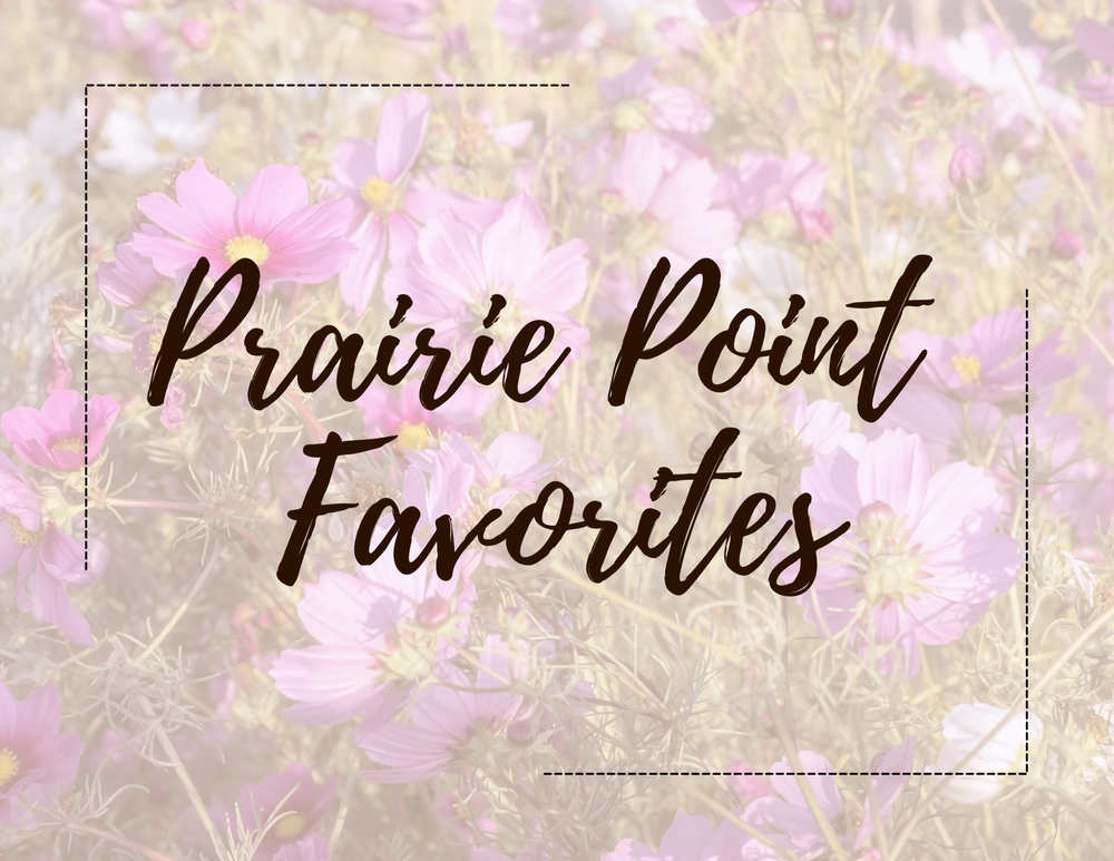 Blocks of the Month - Prairie Point Quilt & Fabric Shop