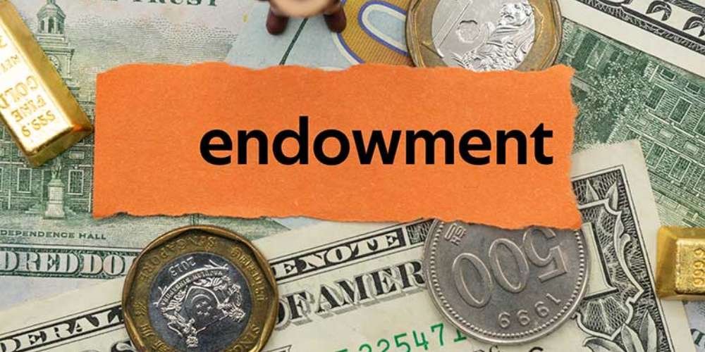 Endowment: cuál es su objetivo de inversión — Metrix Finanzas
