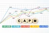 CAPM: cálculo en finanzas corporativas — Metrix Finanzas