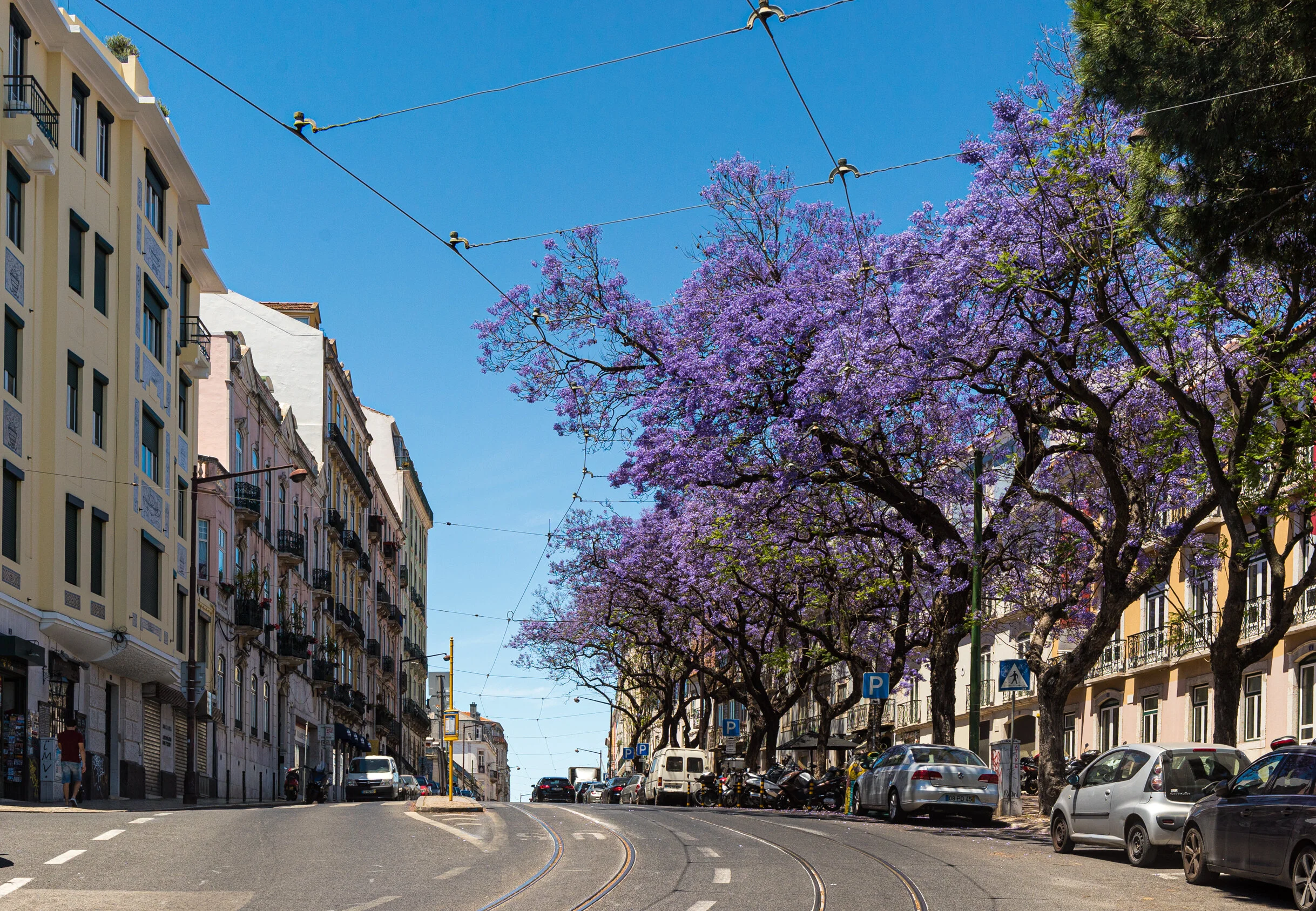 Travel Photography — Heather Merenda