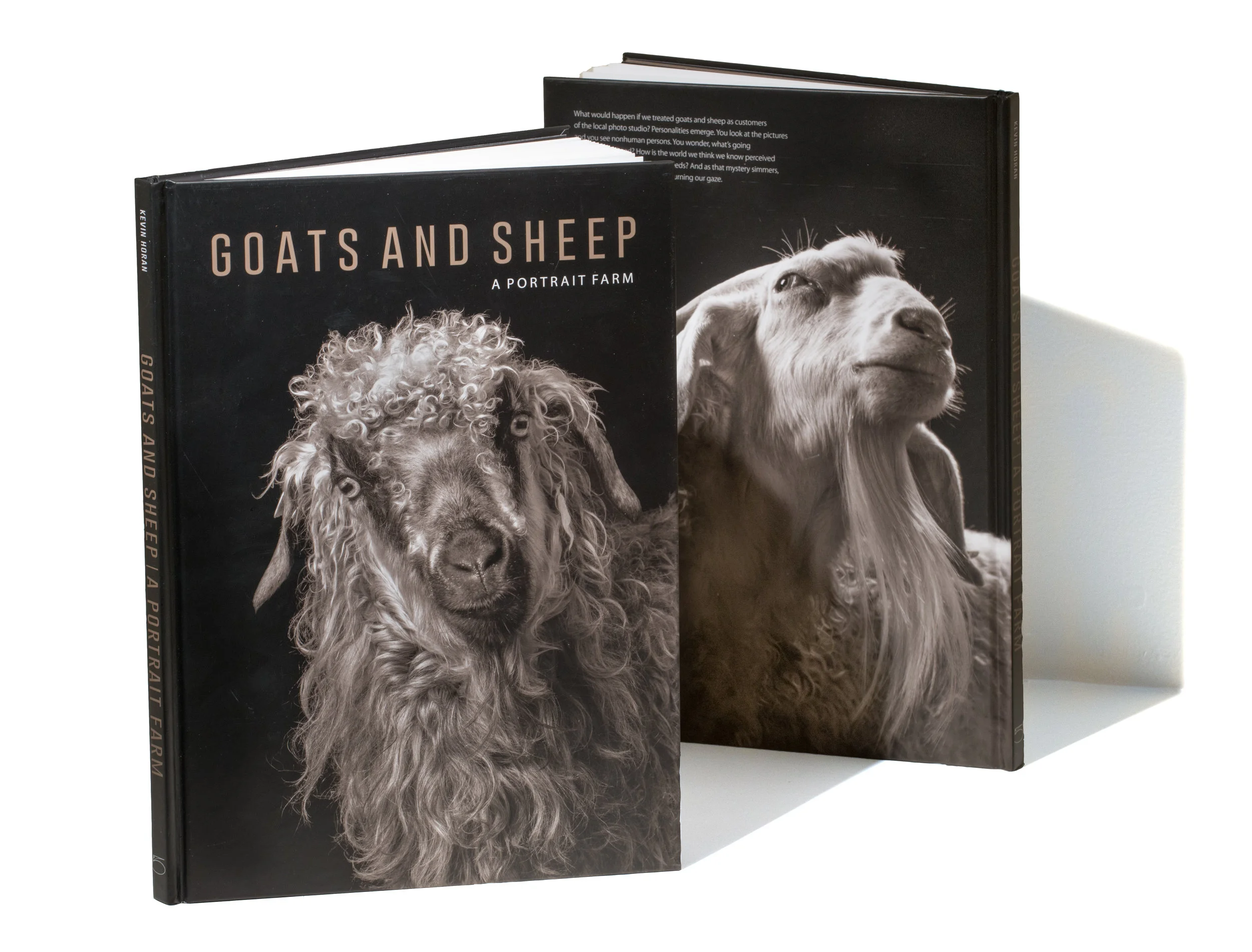 KEVIN HORAN :: photographs