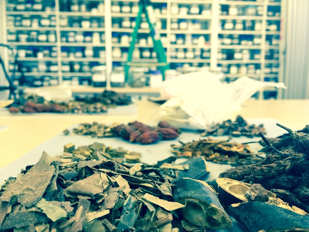 Services — Dr Mark Stoehr DOM, LAc