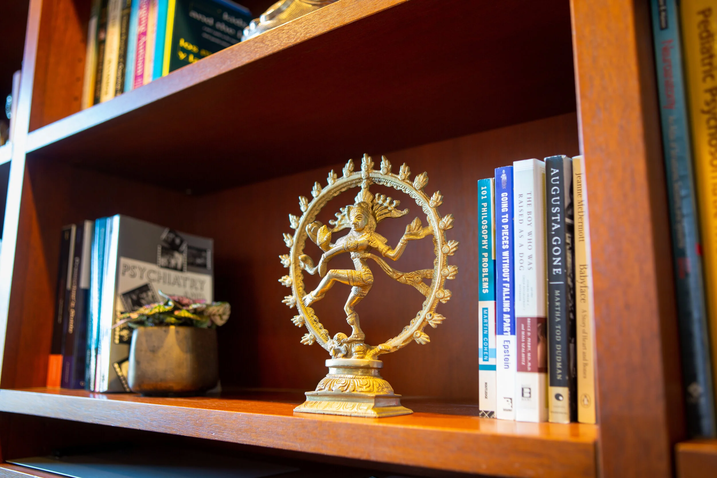 Cecil R. Webster, Jr., M.D.