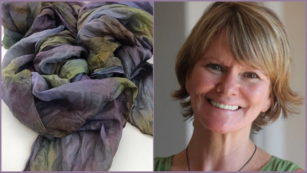 The Barn Swallow — Events