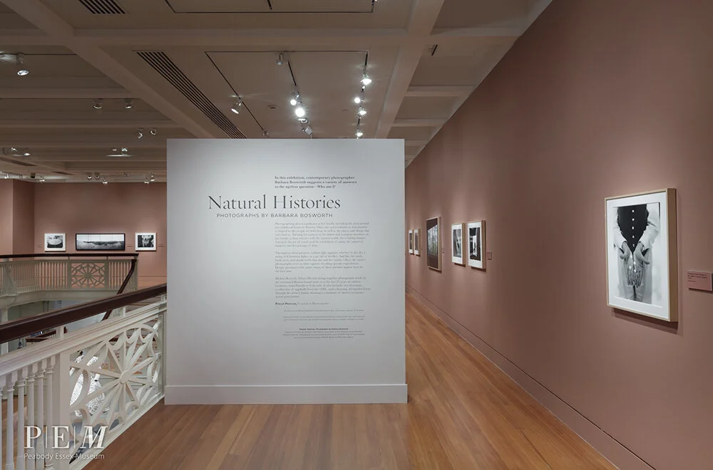 About — Barbara Bosworth