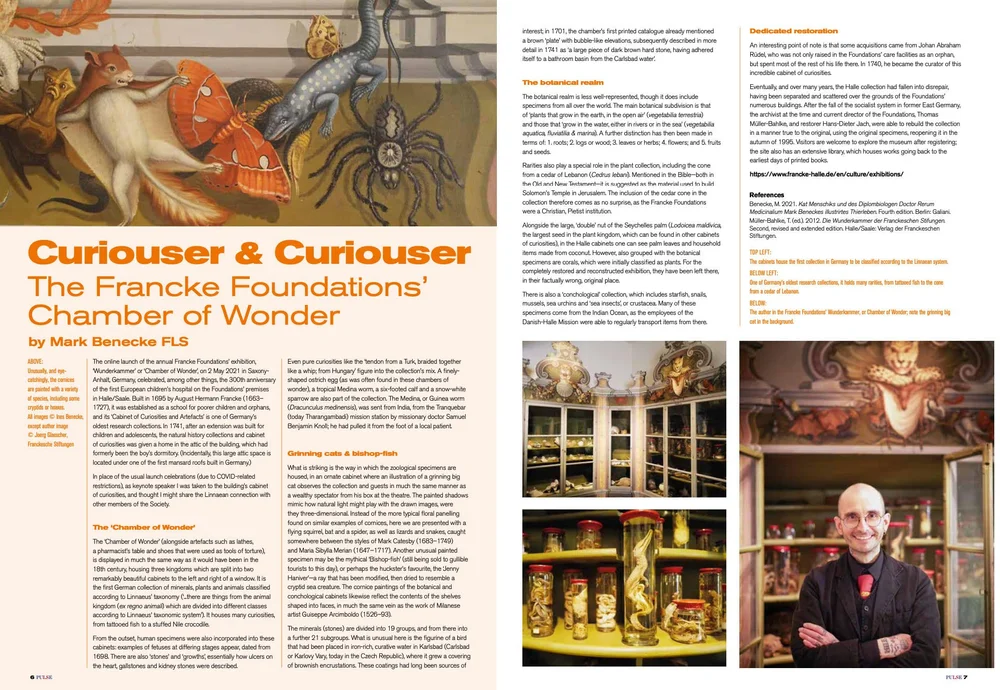 Curiouser & Curiouser. The Francke Foundations’ Chamber of Wonder — Dr ...
