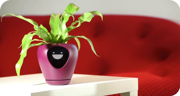 Lua — Vivien Muller