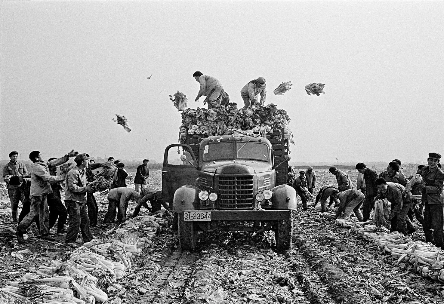 A Life in a Sea of Red: Photojournalism by Liu Heung Shing