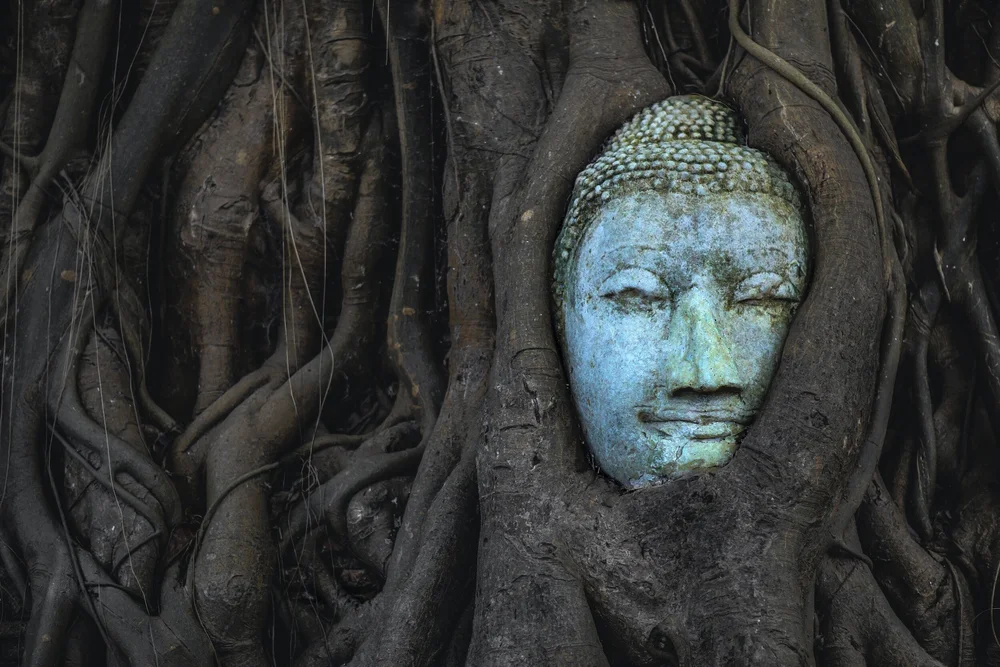 Rumination: What It Is and How to Stop Ruminating | CBT Los Angeles