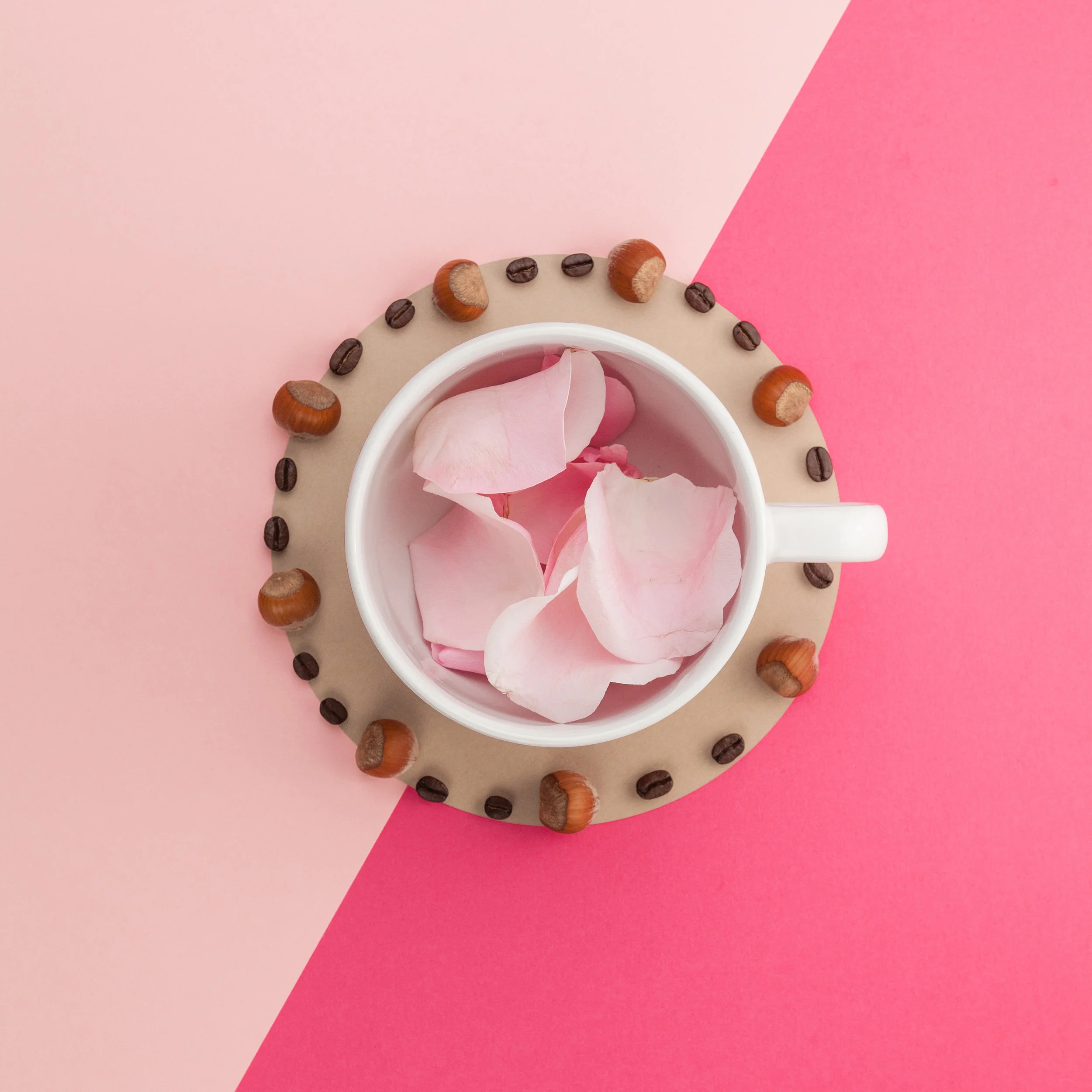 Meredith Foley | Stop Motion Animator