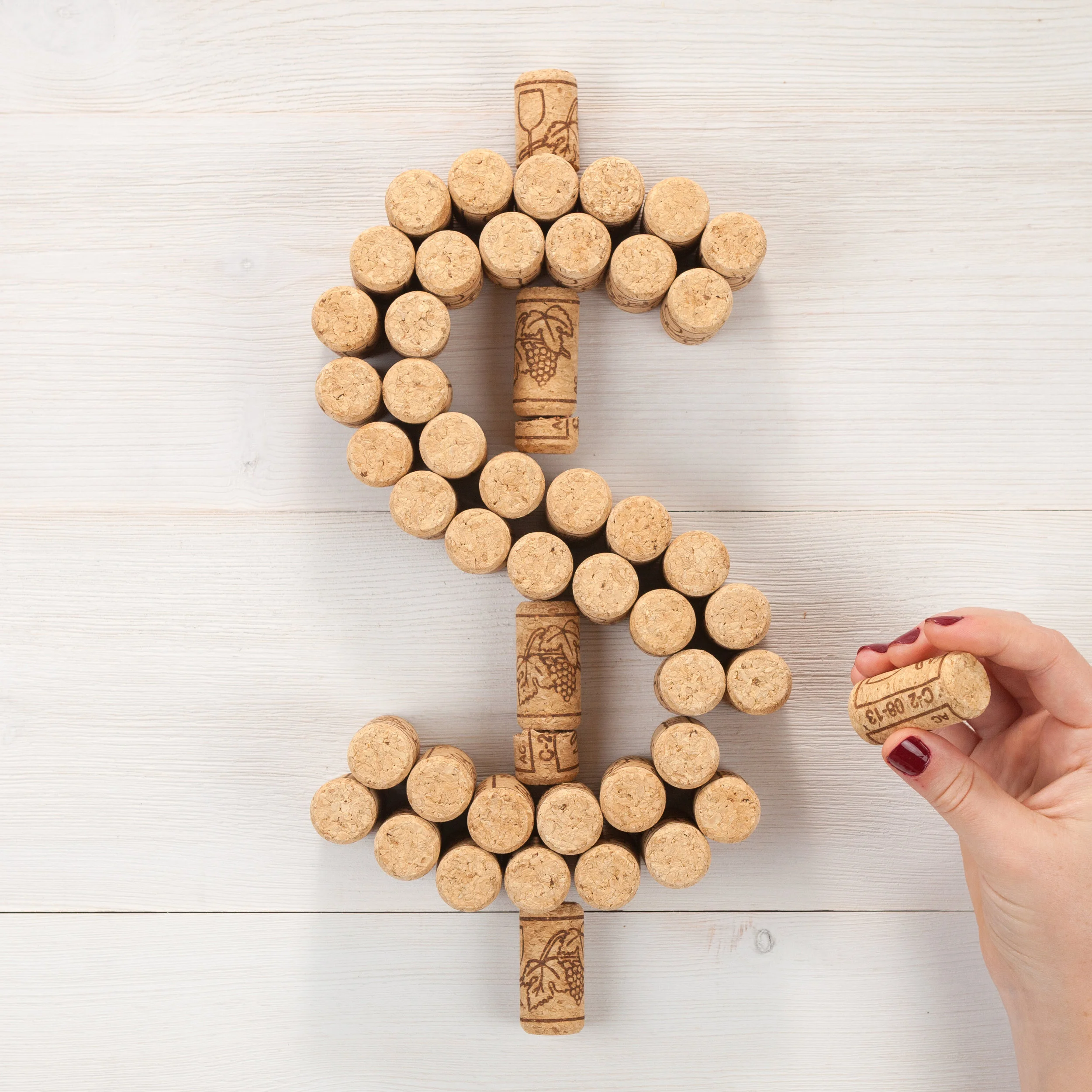 Meredith Foley | Stop Motion Animator