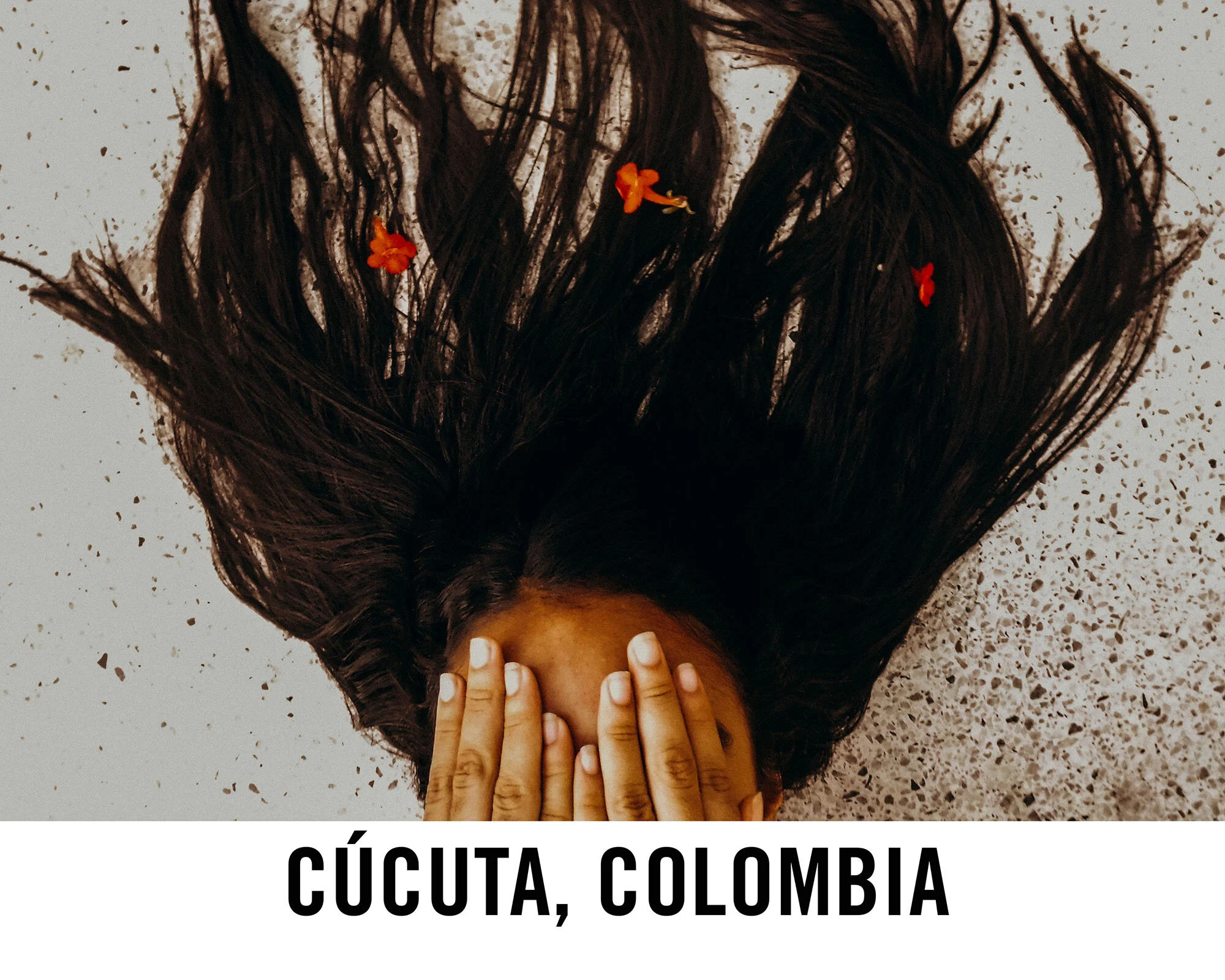 Extensive Programs — 100cameras