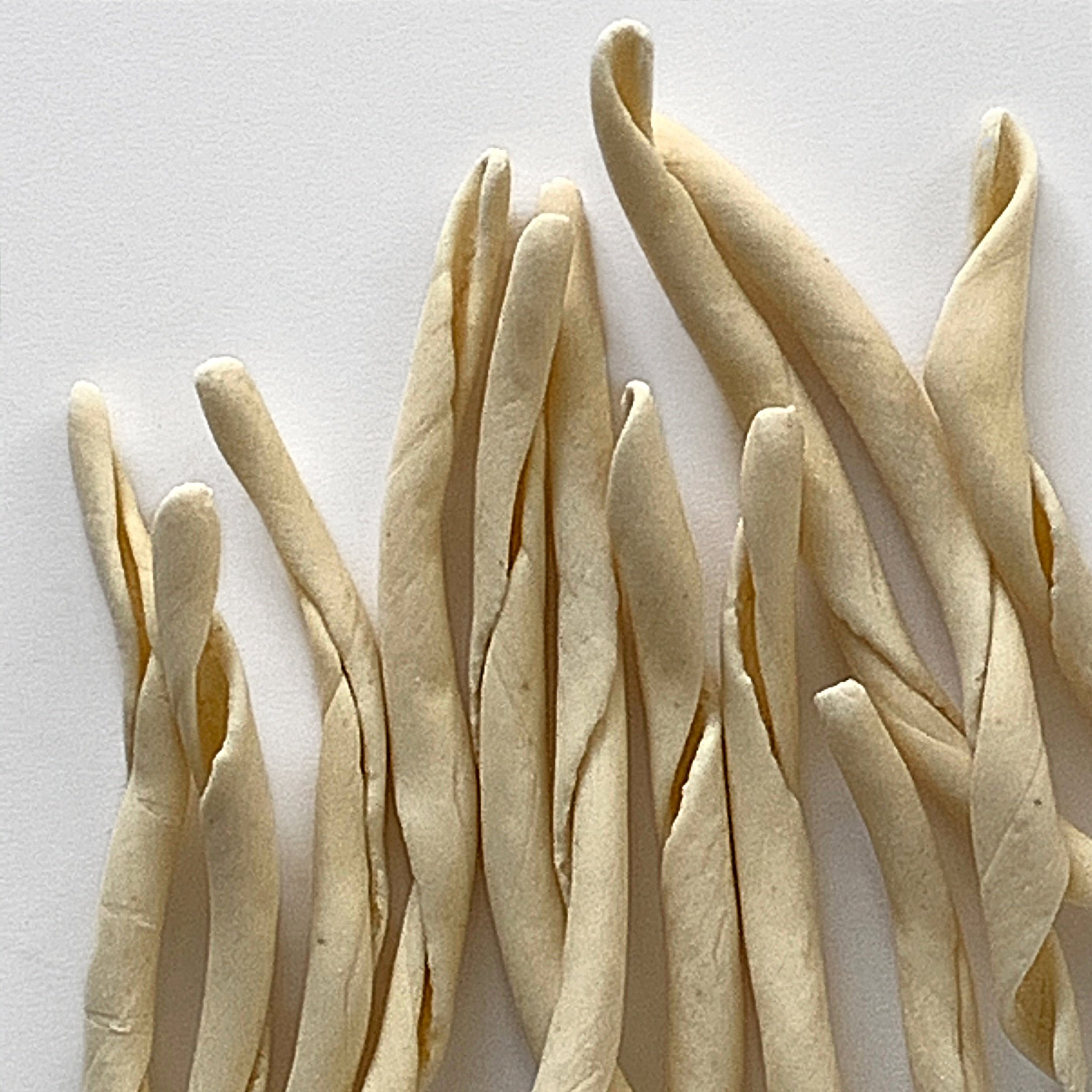 Saucery - Specialty Pastas — City Saucery