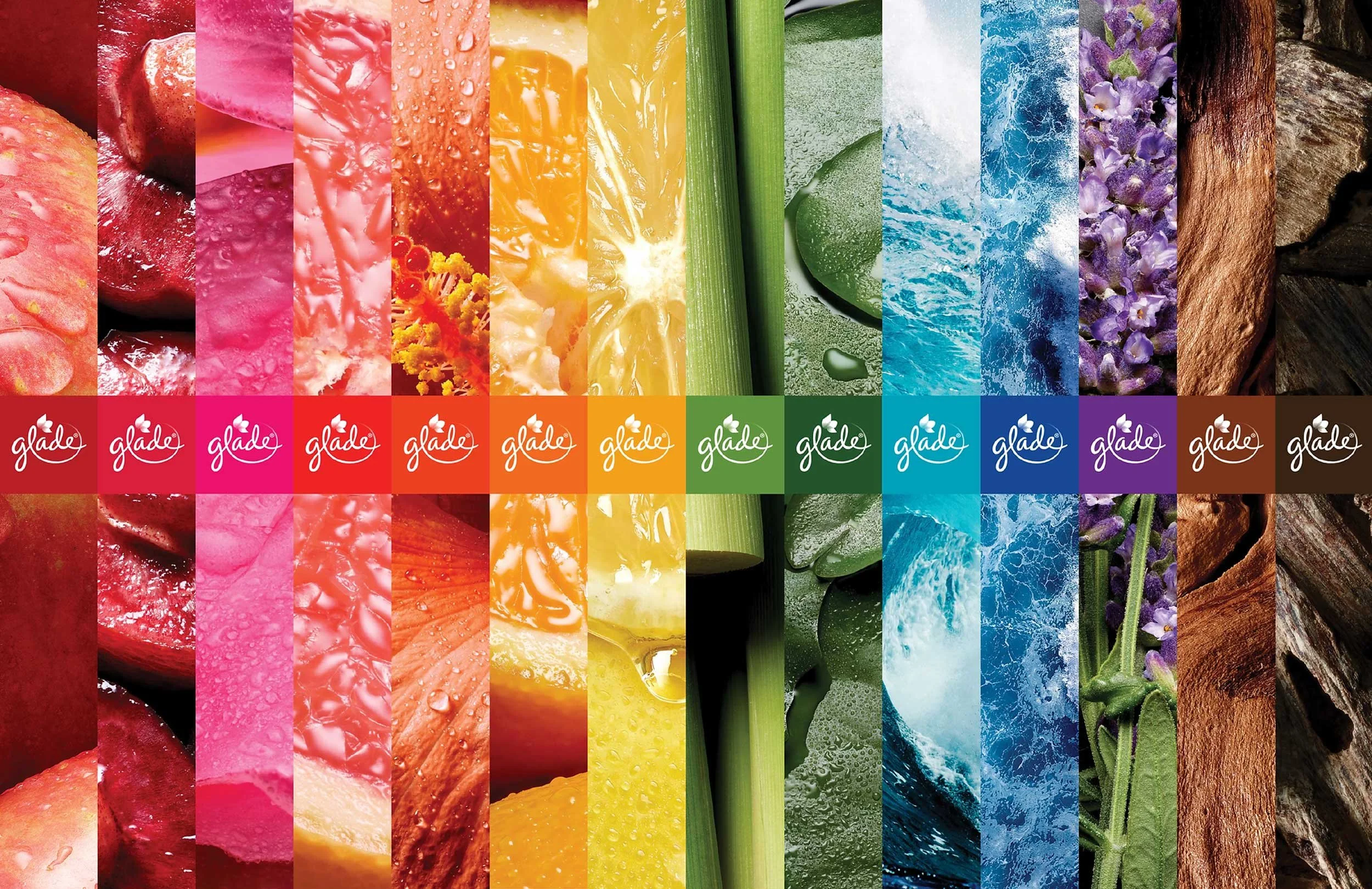 Glade Design System — Remy Glock