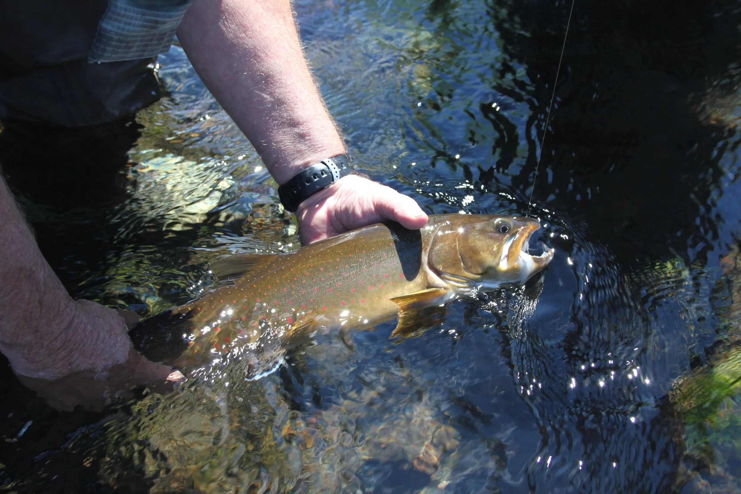 Fly Fishing — House on Metolius