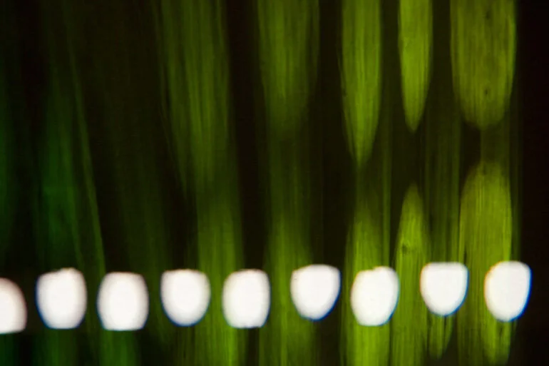 Latest works - STEVEN SILVERSTEIN