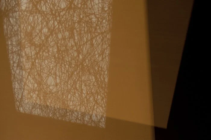 Schrodinger's Math - STEVEN SILVERSTEIN