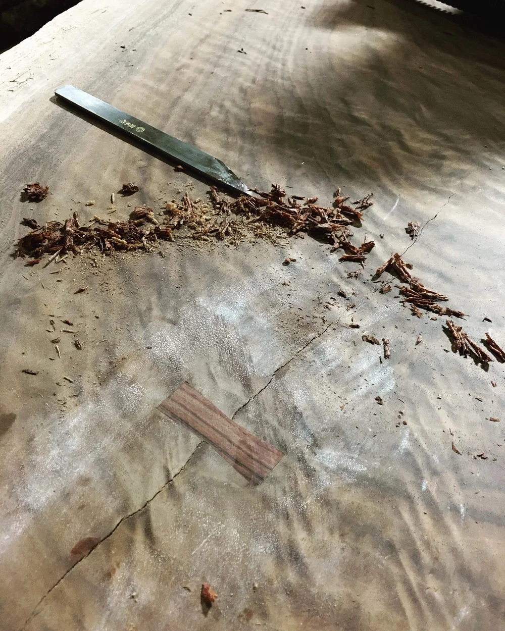 Massive Live Edge Claro Walnut Conference Table — Taylor Donsker Design