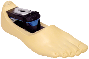 Prosthetic Components — Rebound Prosthetics