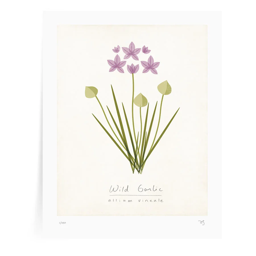 Amy Sullivan Modern Fine Art Prints — Amy Sullivan Art, Illustration ...