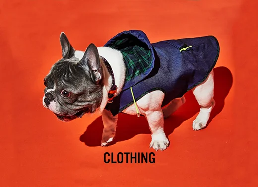 WARE of the DOG | Luxury Dog Clothing & Accessories