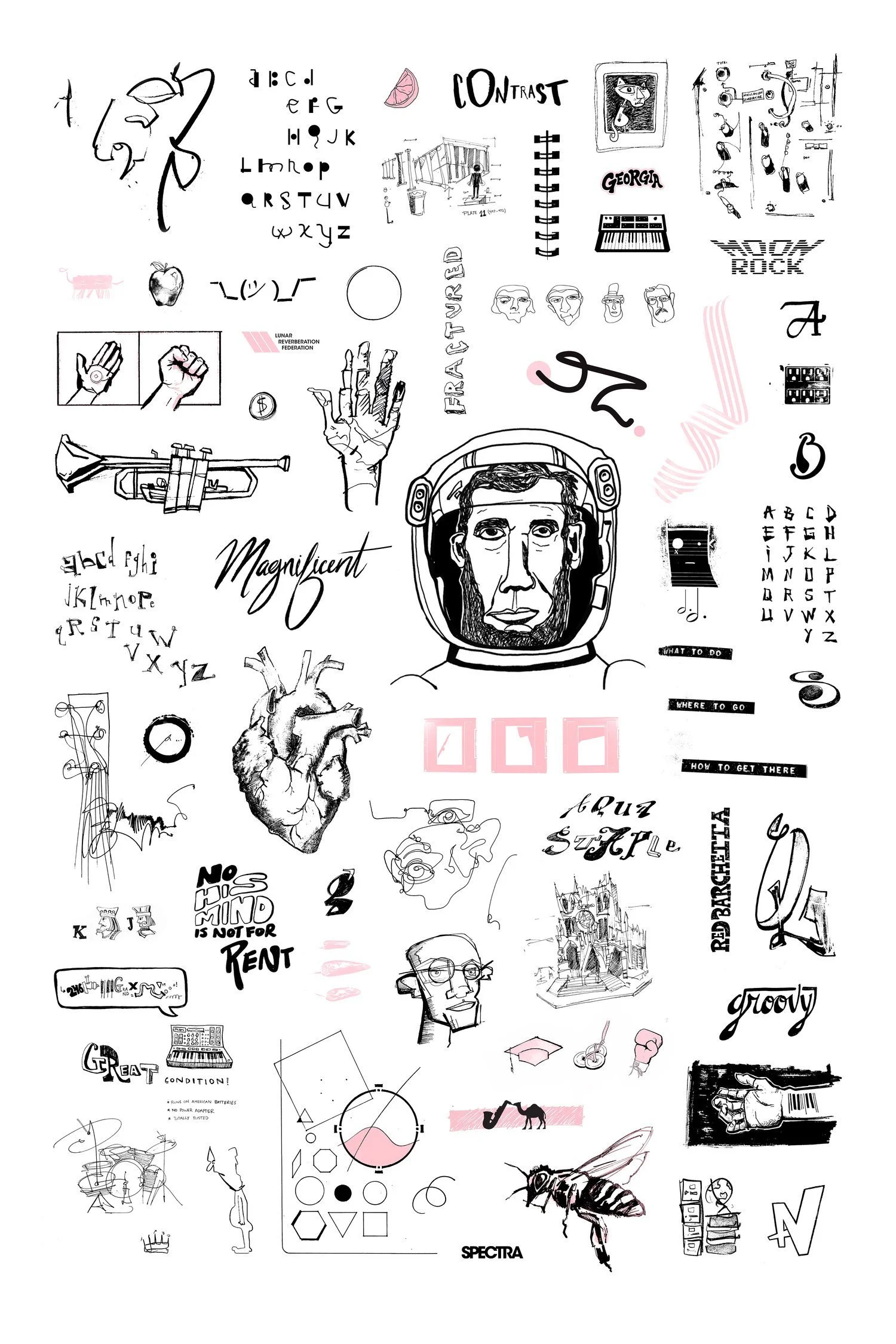Illustration — Amanda Northrop