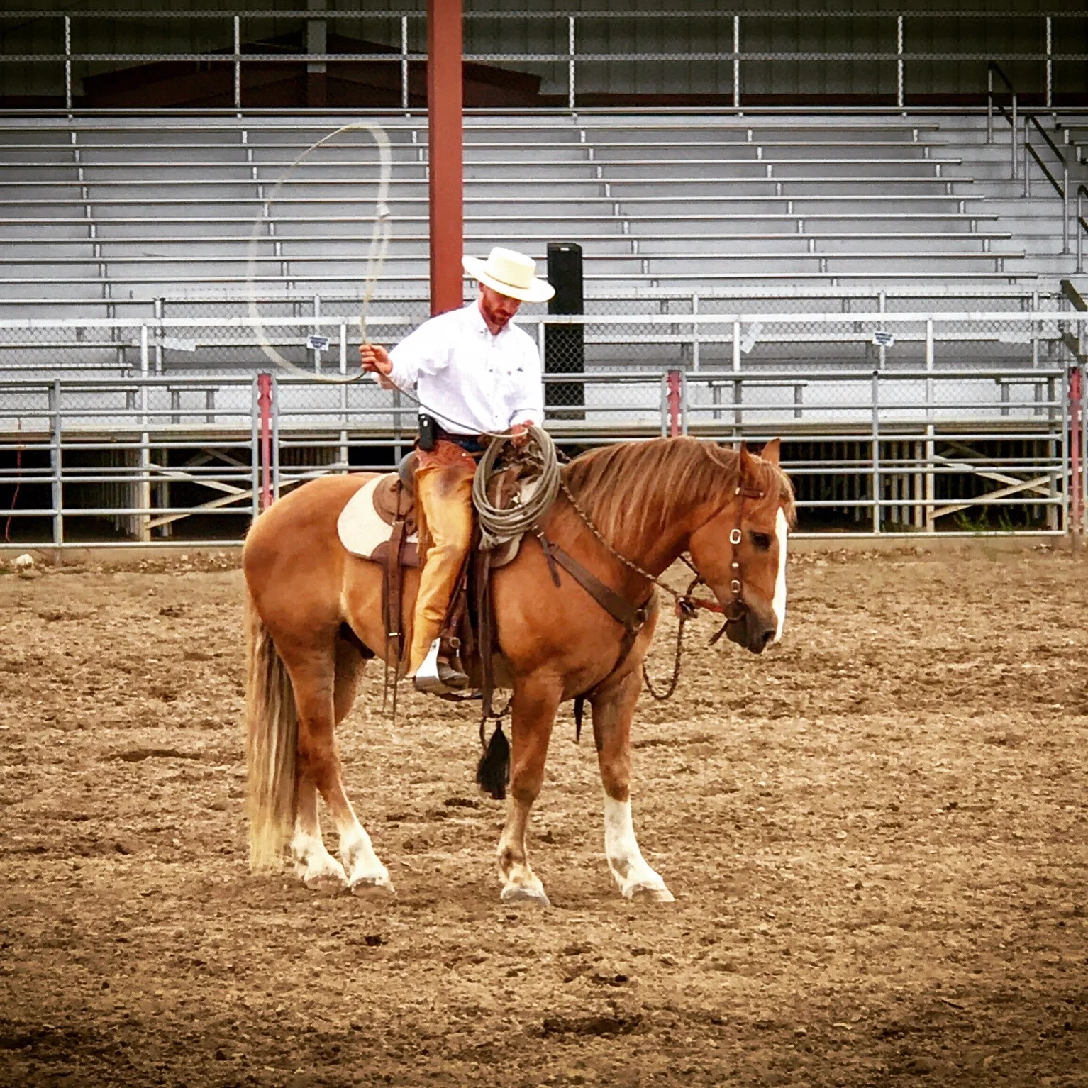 Horse Development — Evan Bonner Horsemanship