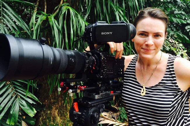 CLAIRE CLEMENTS - WILDLIFE PRODUCER AND CAMERA OPERATOR - GUEST SEMINAR ...