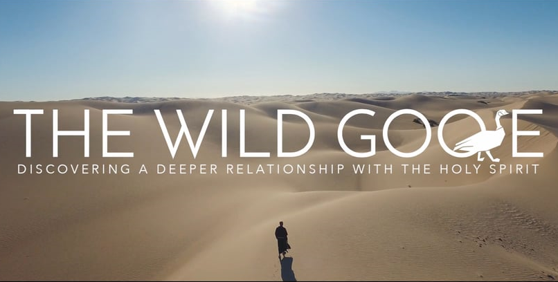 The Wild Goose: Discovering a Deeper Relationship with the Holy Spirit ...