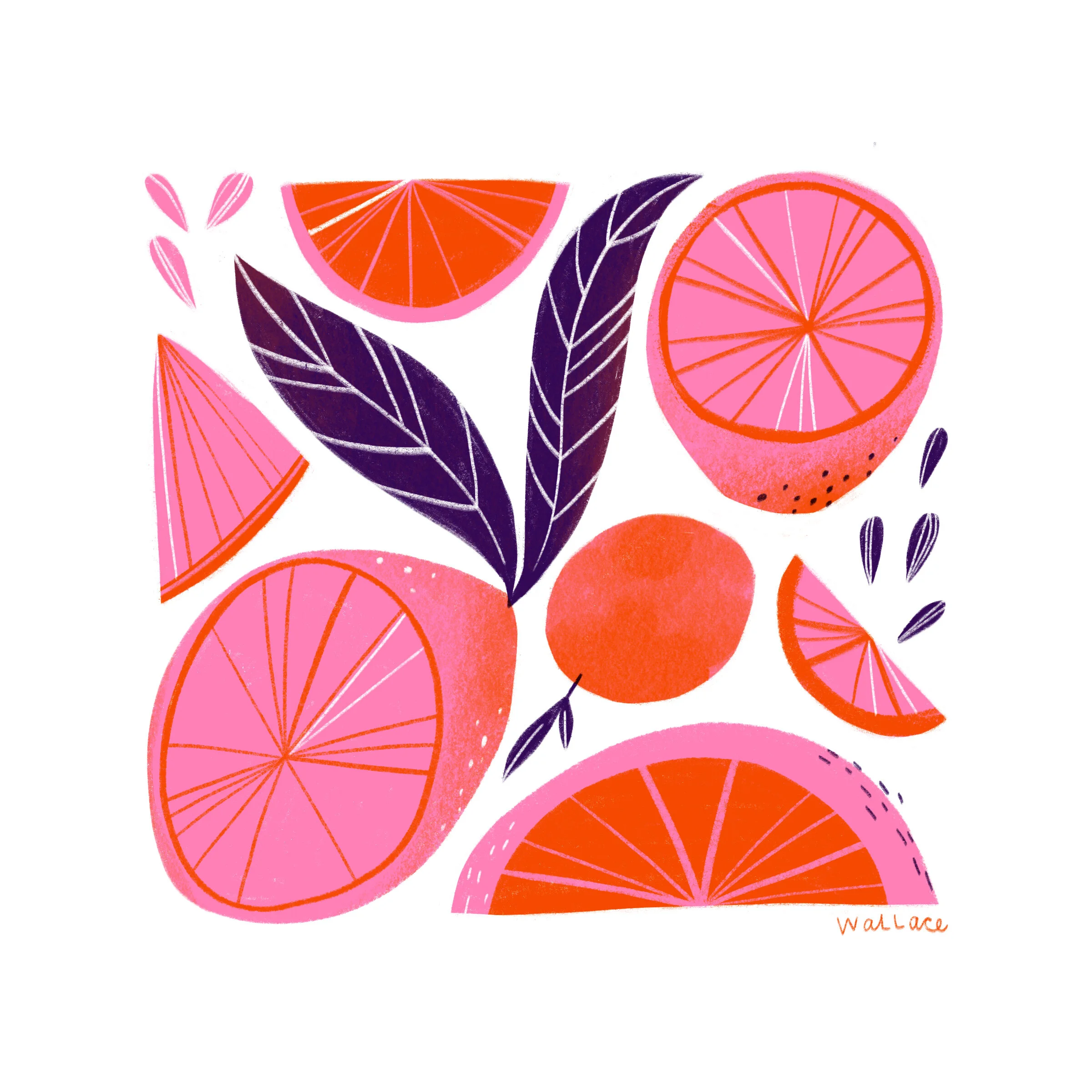 Erin Wallace Illustration | pink lemons