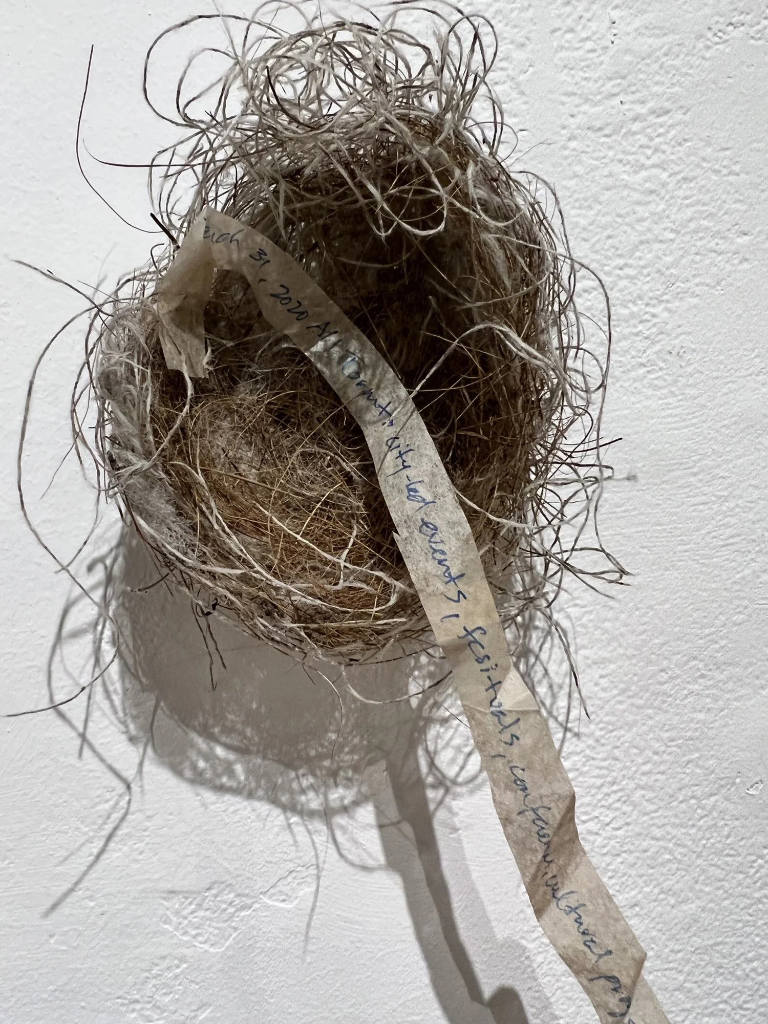 Elaine Whittaker — Red Head Gallery