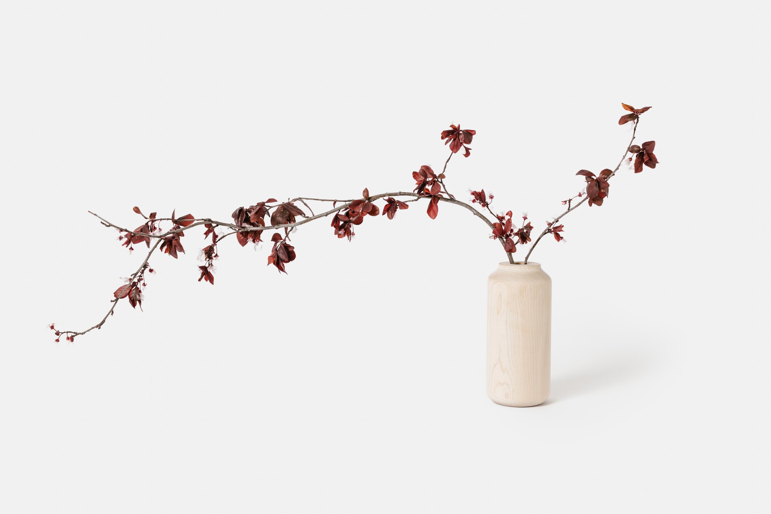 Tall & Wide Vase — Melanie Abrantes