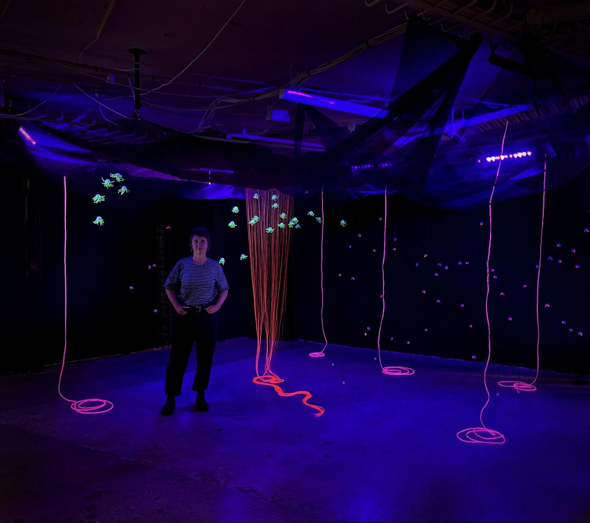 Kathryn Cowen and Gareth Jenkins, Luminous Nature, 2023, Michael Reid ...