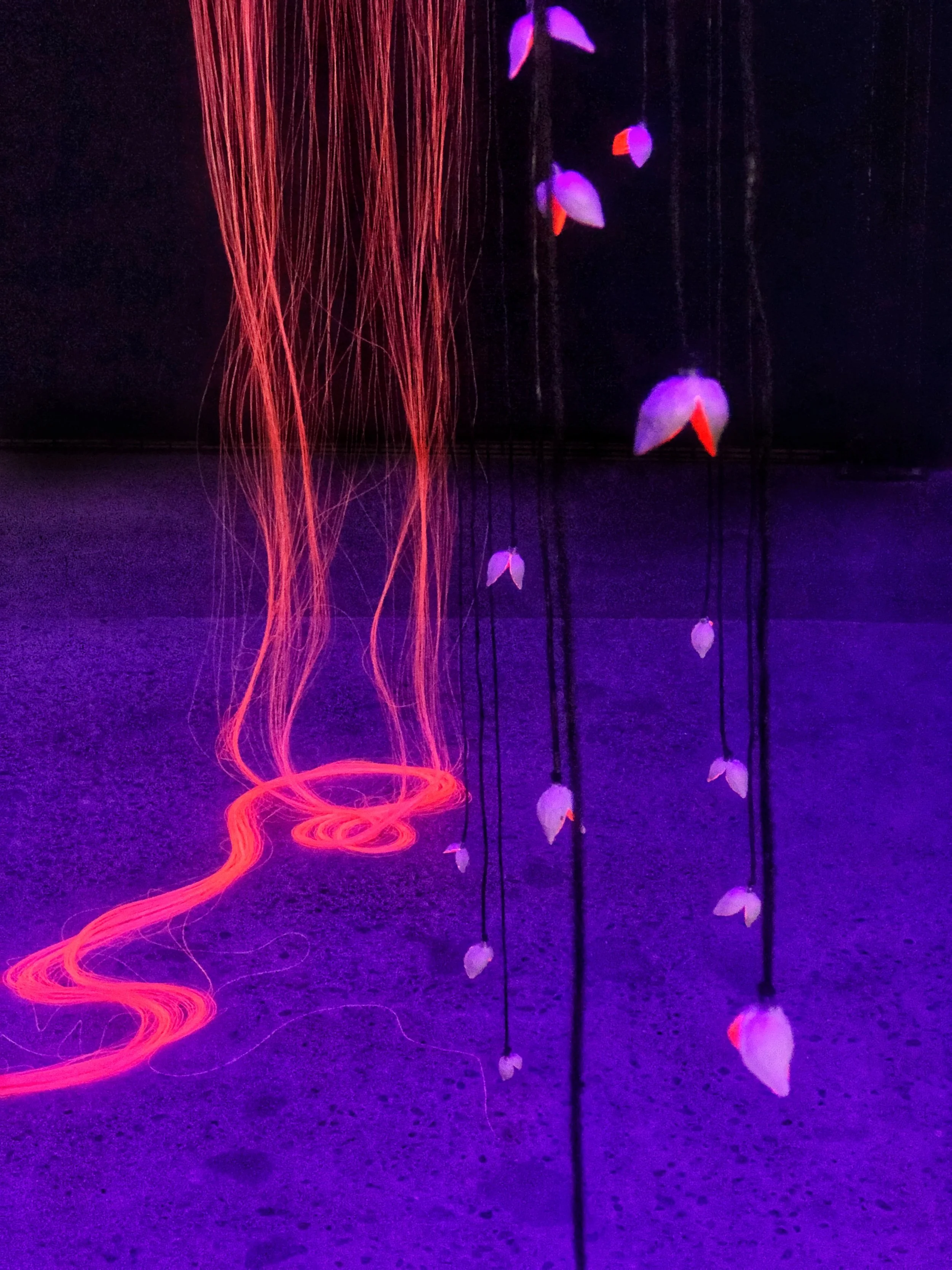 Kathryn Cowen and Gareth Jenkins, Luminous Nature, 2023, Michael Reid ...