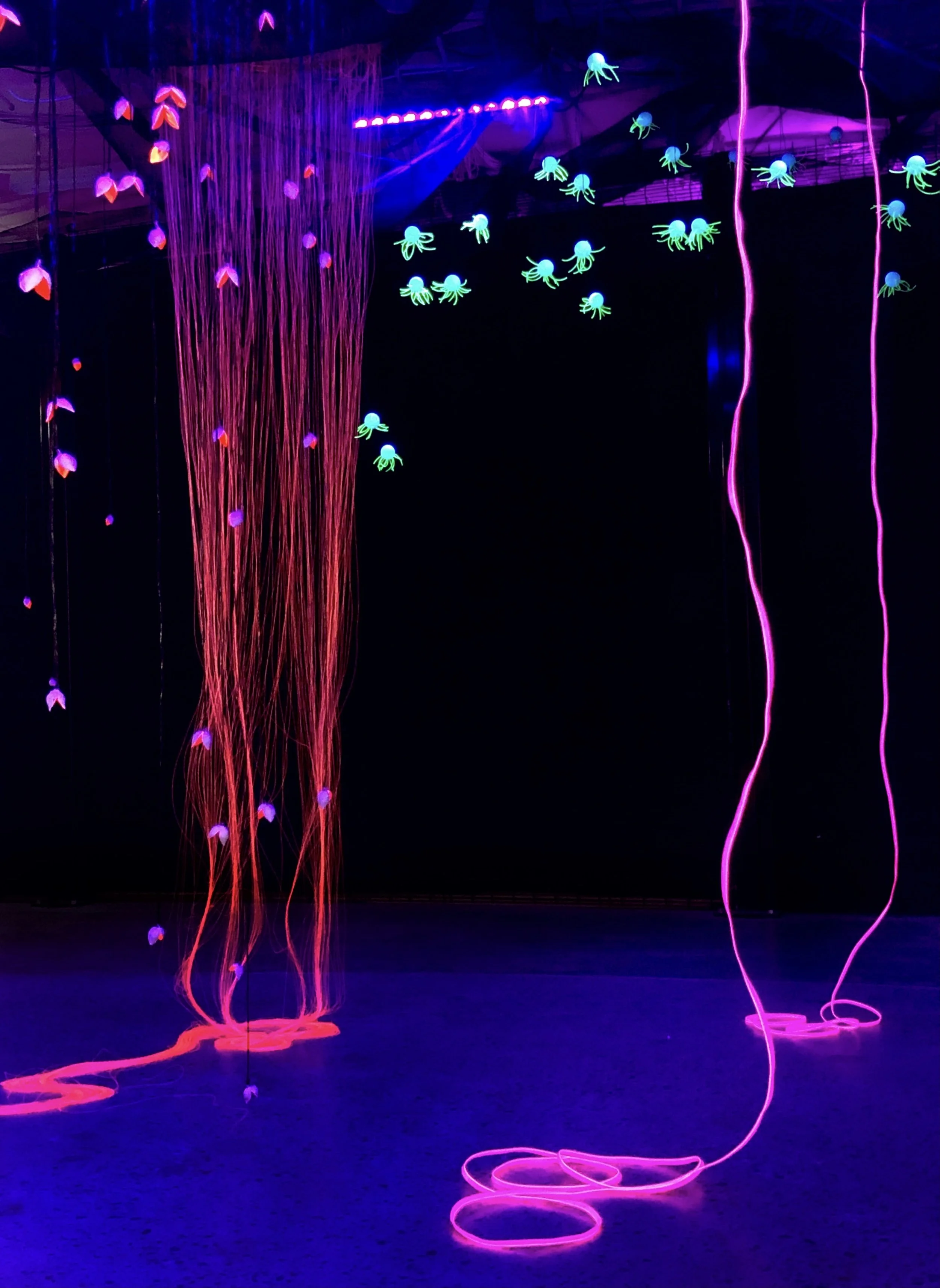 Kathryn Cowen and Gareth Jenkins, Luminous Nature, 2023, Michael Reid ...