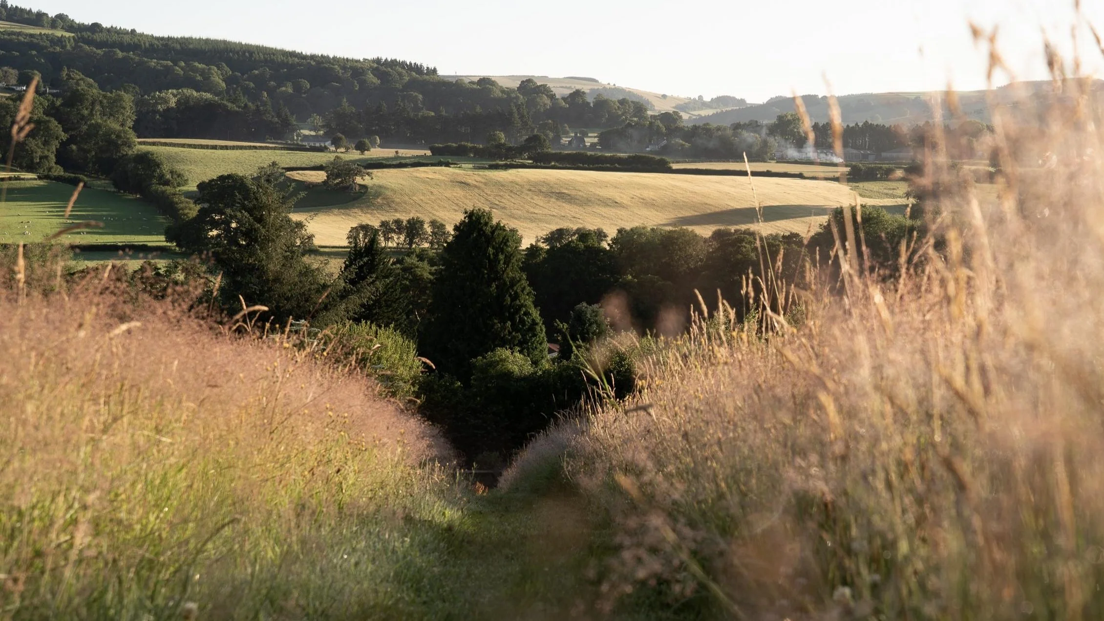 holiday cottage and glamping Wales — Wild Meadow