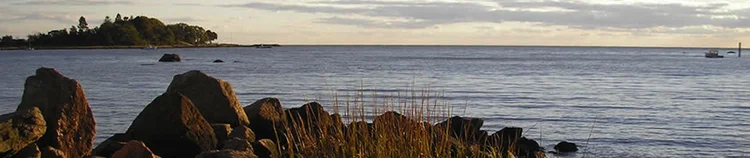 Workshops/Classes — Sally Hinkle