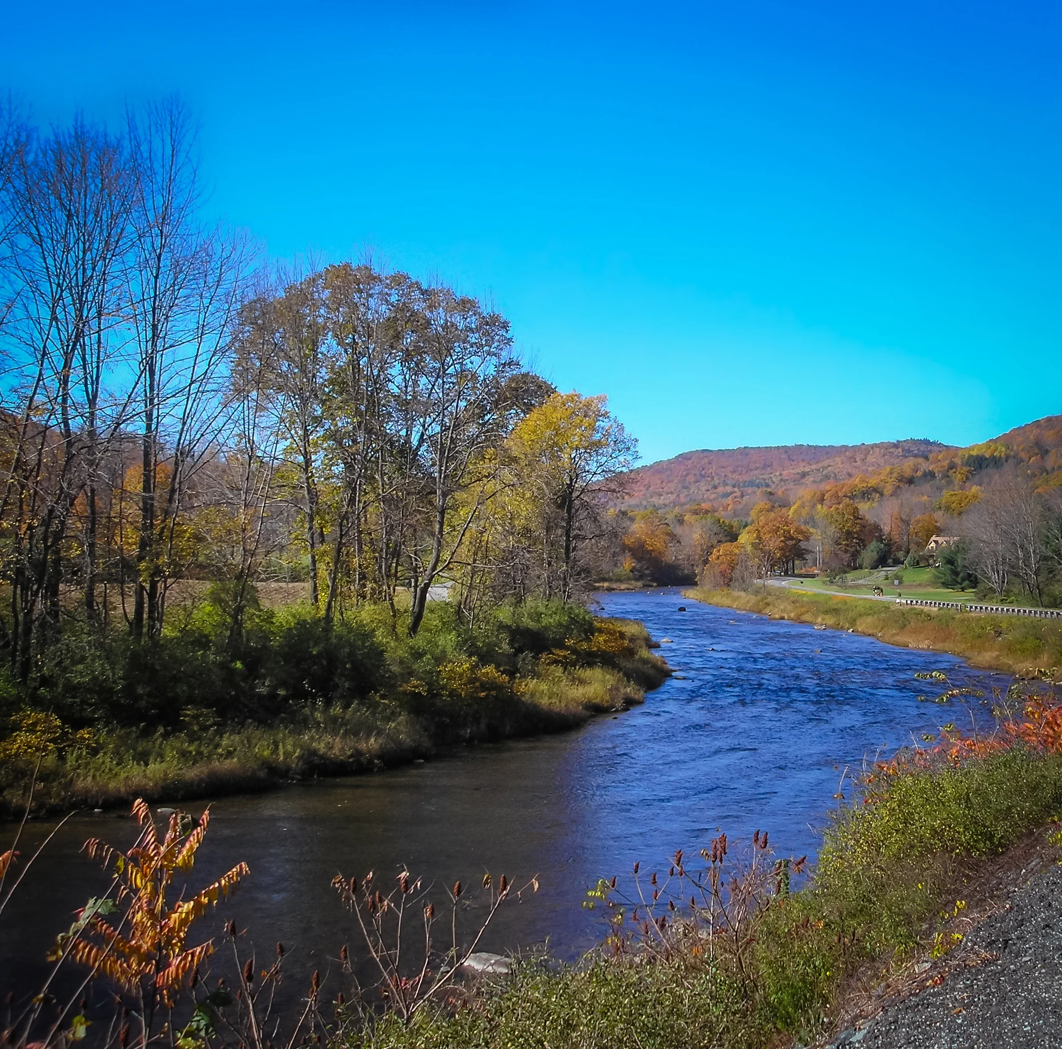 About Sally Hinkle — Sally Hinkle