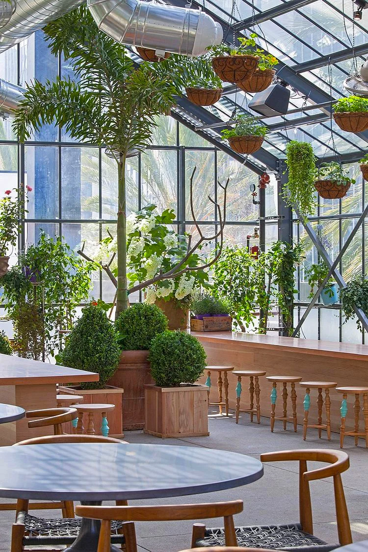 LA’s Koreatown Greenhouse: The Line Hotel's Commissary Restaurant — KNSTRCT