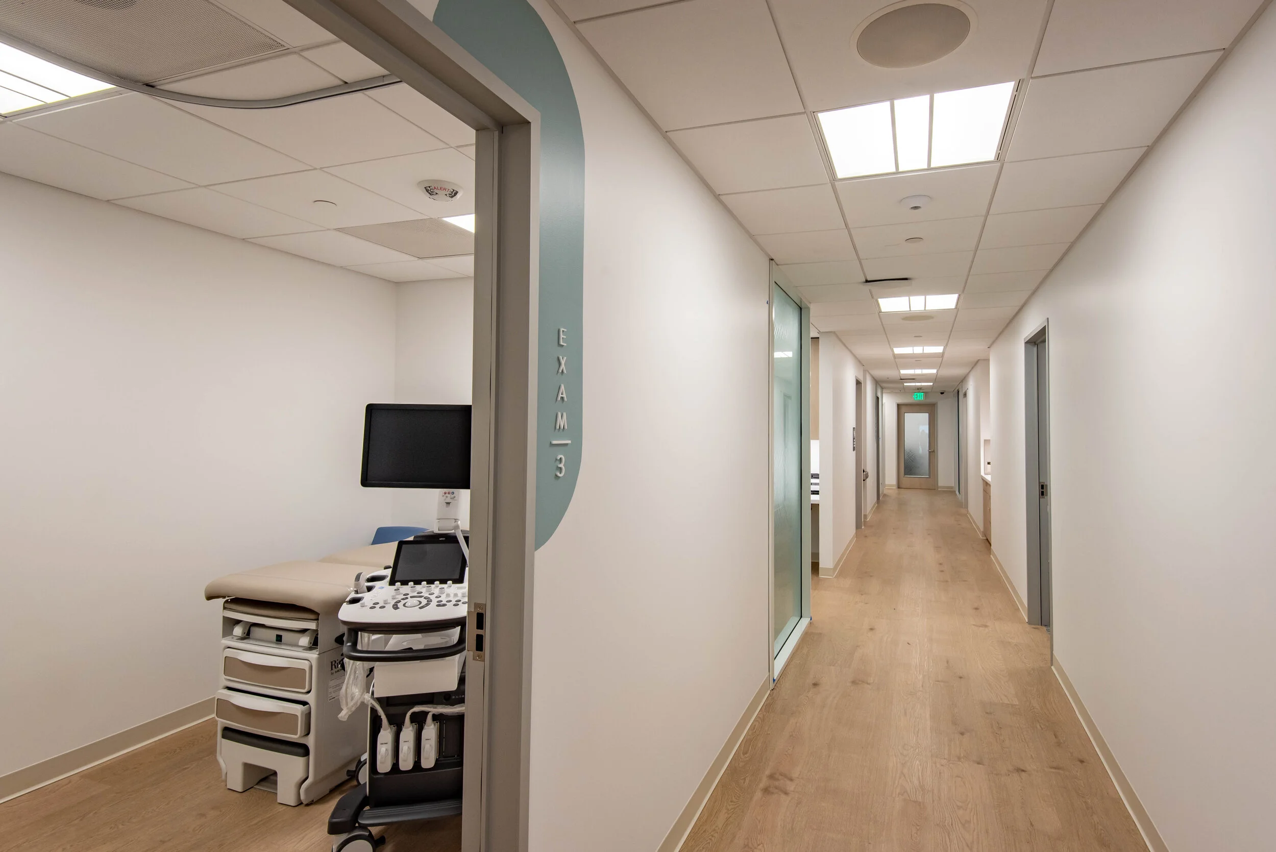 HC - Spring Fertility — MSA architecture + design