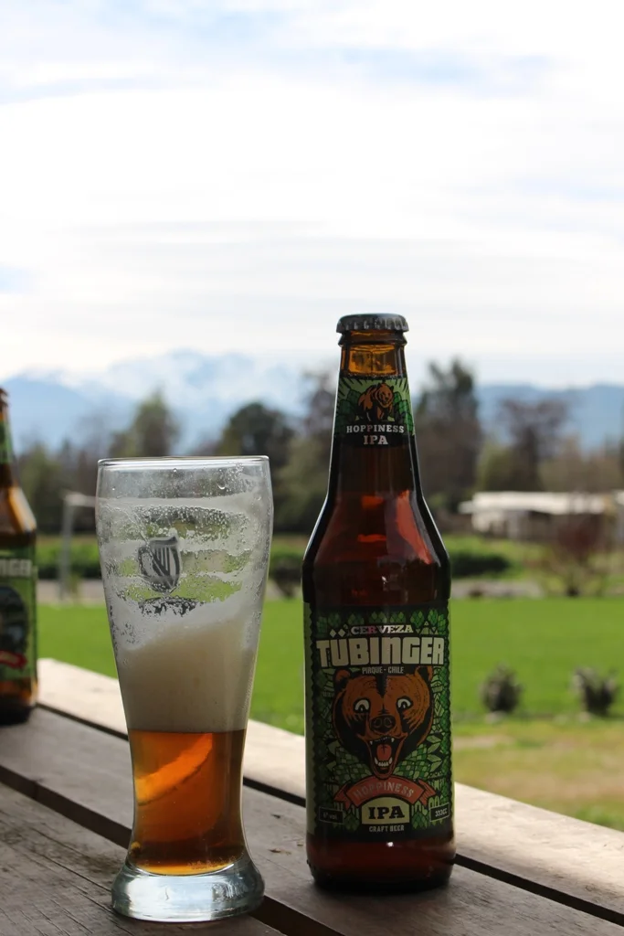 O brasileiro que montou cervejaria no Chile — Beer Art - Portal da CERVEJA