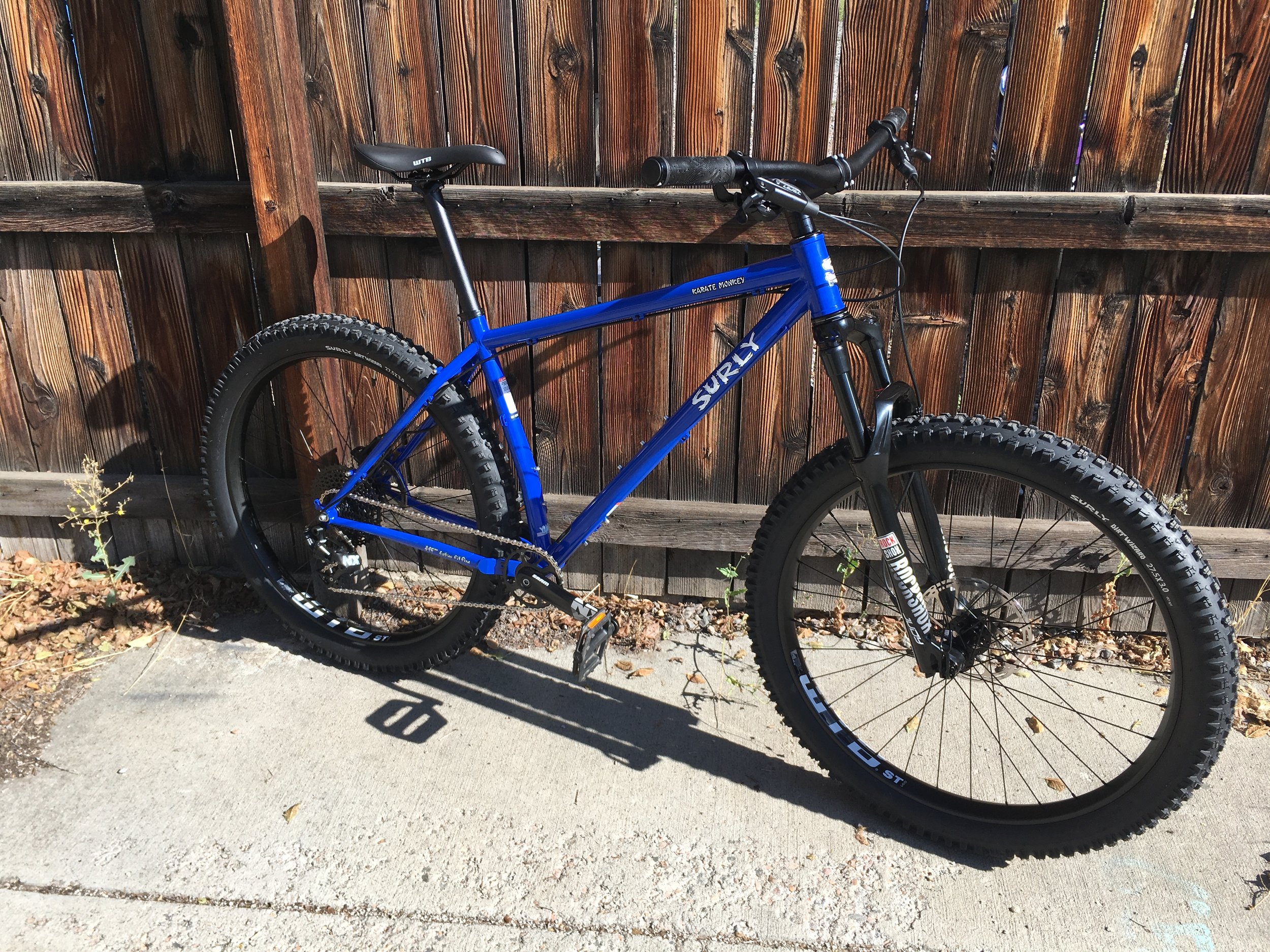 CUSTOM SURLY BUILDS — Edgewater CO Bicycle Repair, Surly & Salsa Dealer ...