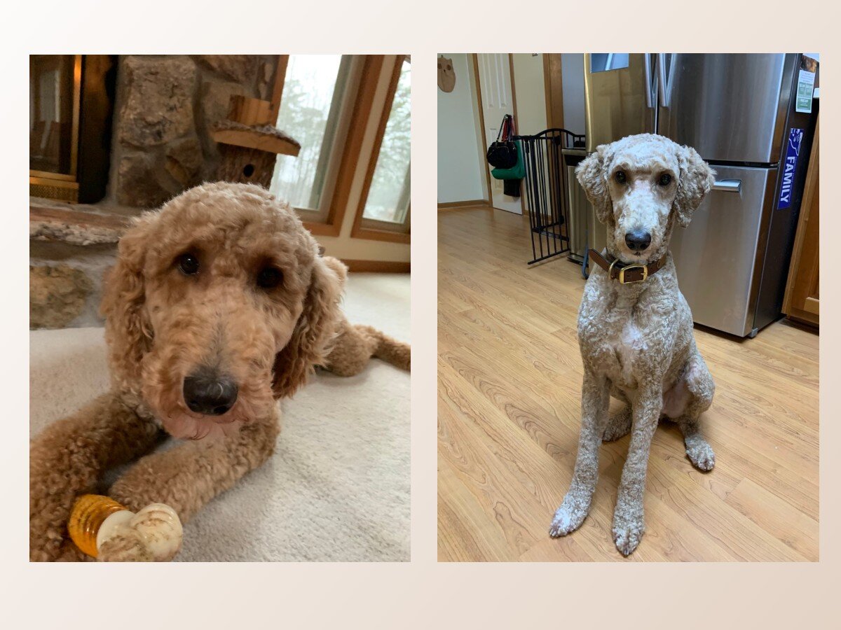 RAE'S DAYS — ANISE RAE