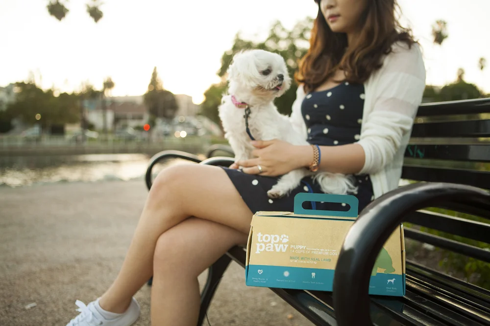Top Paw — Ben Yi Design