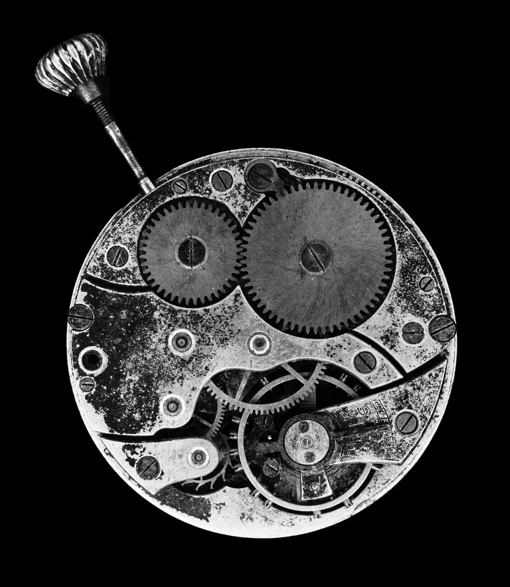 GARTH KNIGHT — ANGELINE COLLINGS ART